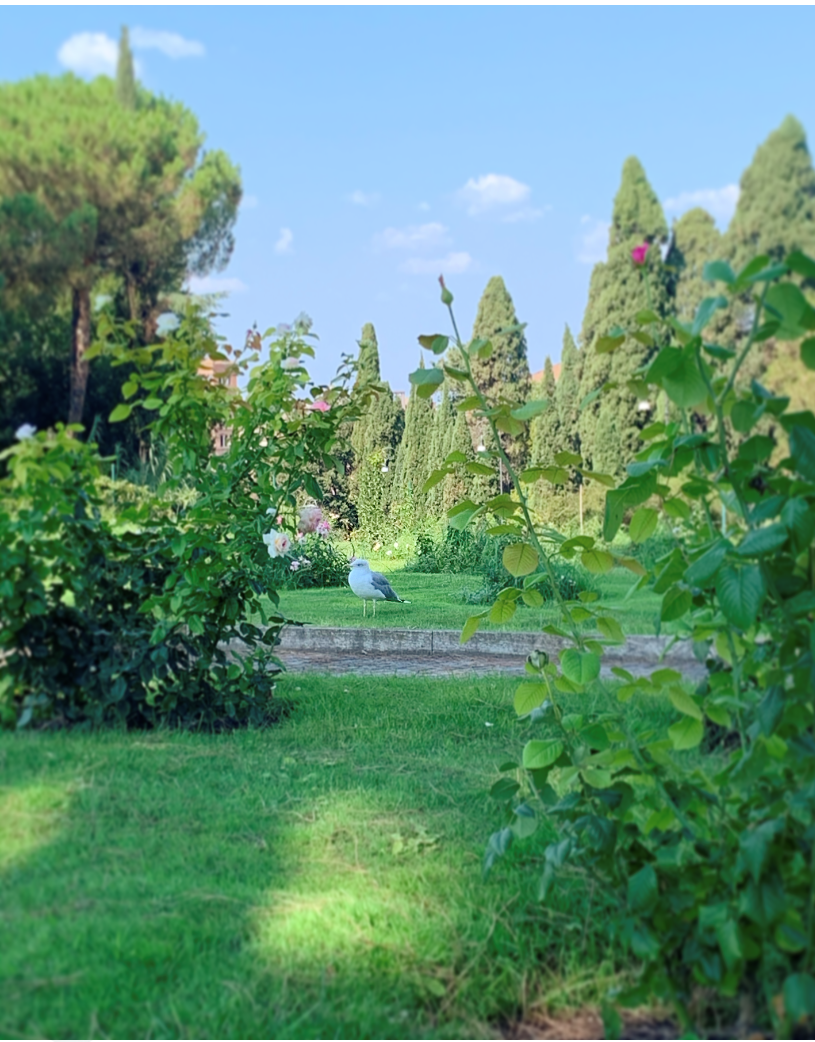 La prima caccia al tesoro a Roma. 5 curiose curiosità - Bea around